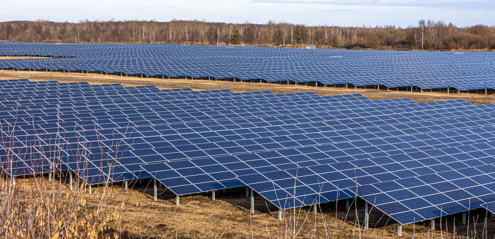 NJBPU Launches Dual-Use Solar Pilot to Boost Farmer Revenue